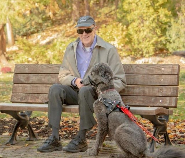 Trenton Lions join Pet Value Walk for Dog Guides | Cornwall Standard ...