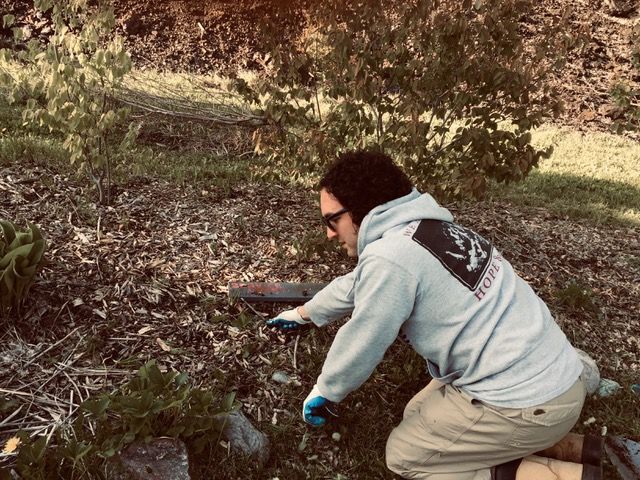 Grant allows Sudbury Shared Harvest to reach more people | Sudbury Star