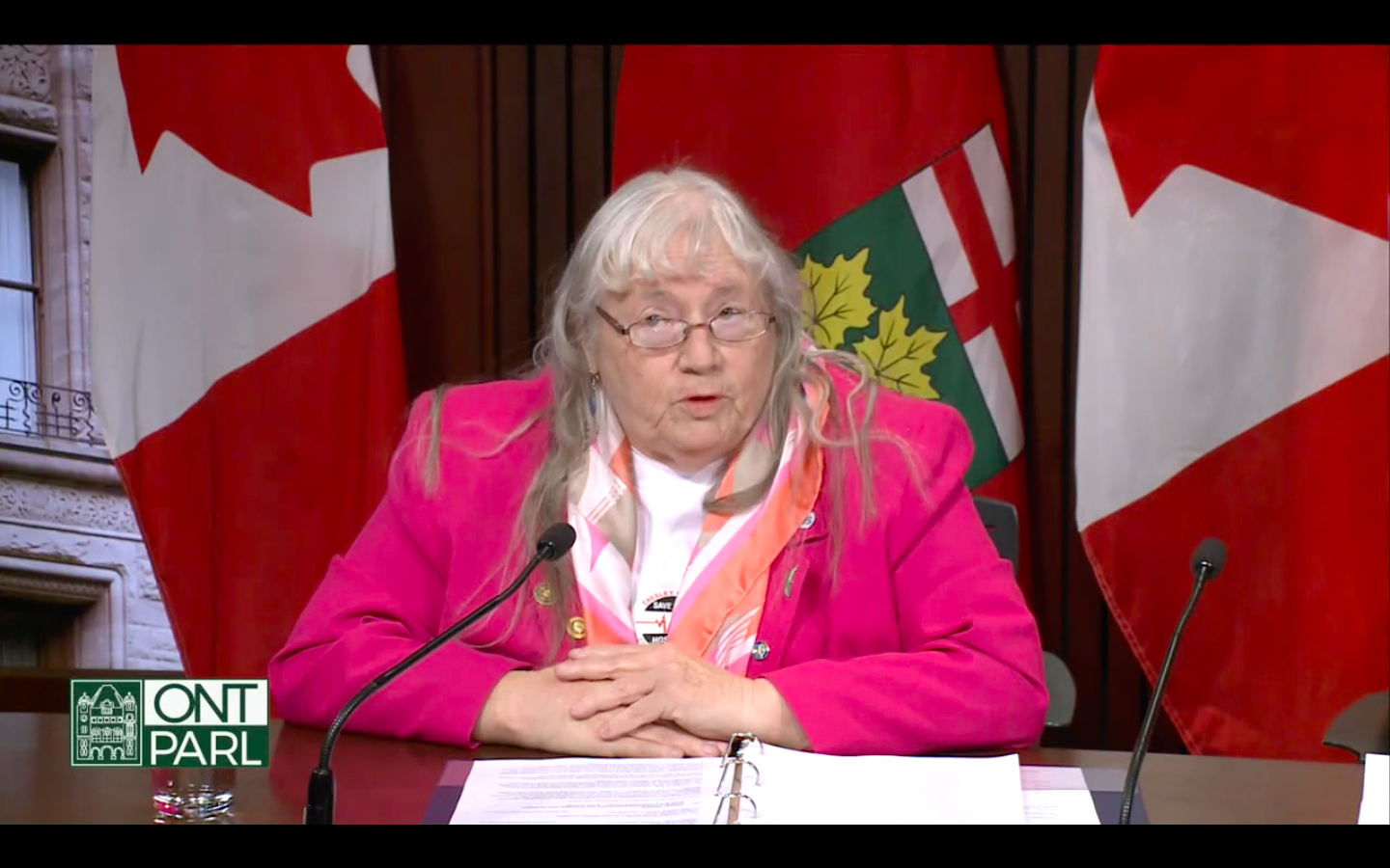 Chesley hospital defenders take fight to Queen's Park | Goderich Signal ...