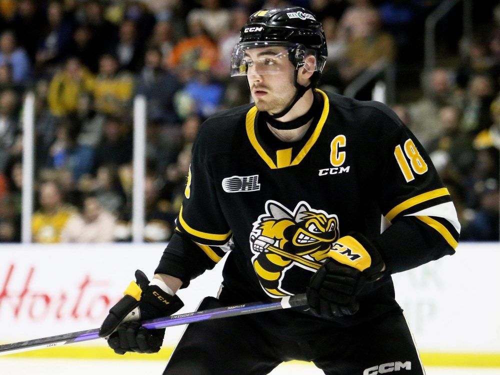 Sting's Dillingham wins OHL Mickey Renaud Captain's Trophy | The Sarnia ...