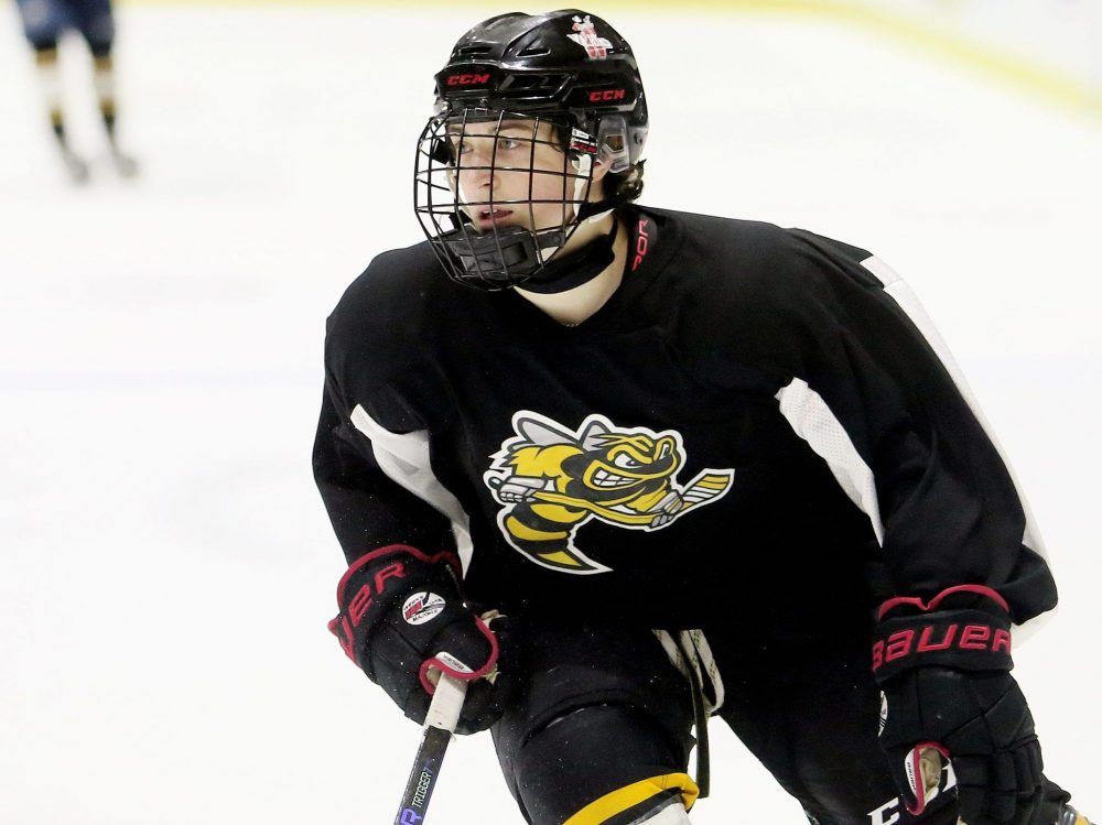 Lane Sim ready to carve out own career with Sting | Brantford Expositor