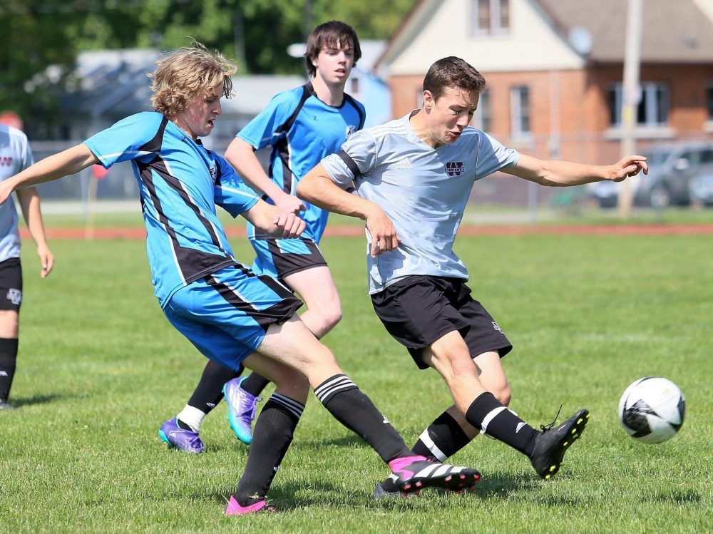 Vink signs with Lambton Lions | Chatham Daily News