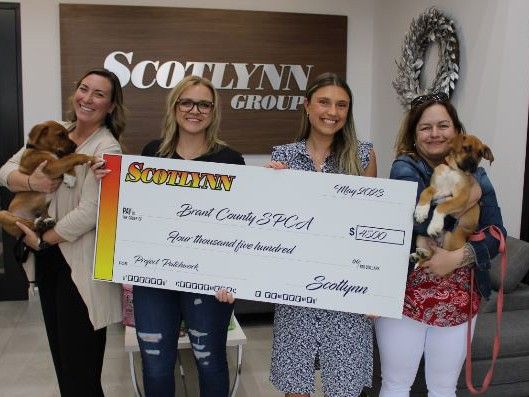 Community rallies to help nine puppies sick with parvovirus | Brantford ...