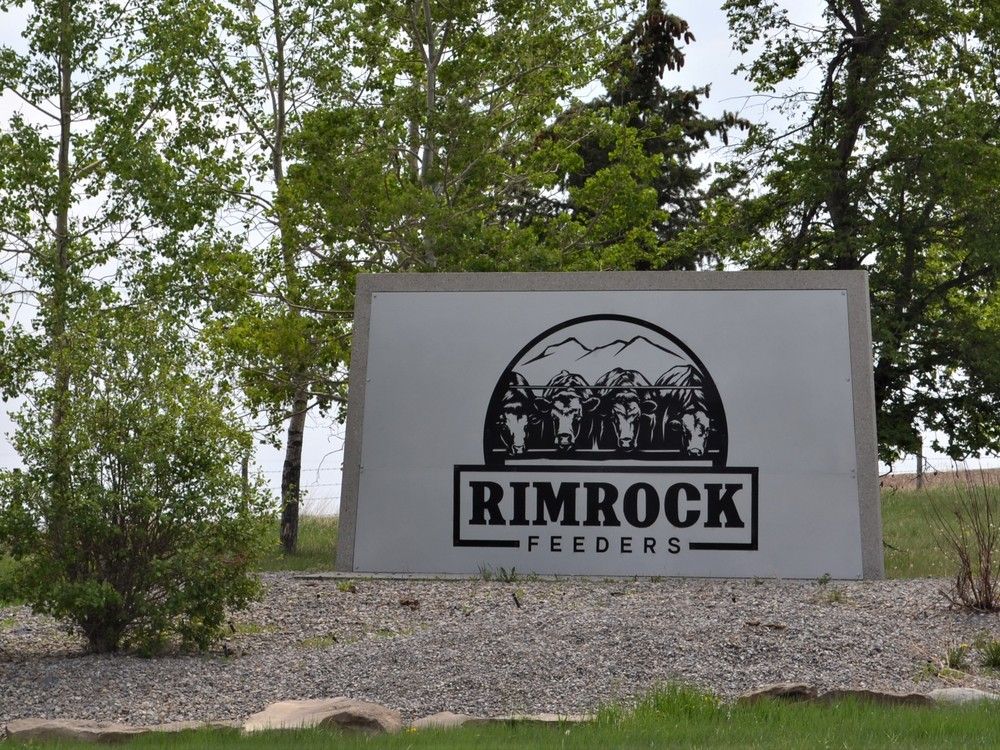 Foes of proposed High River-area biogas plant want it halted | High ...