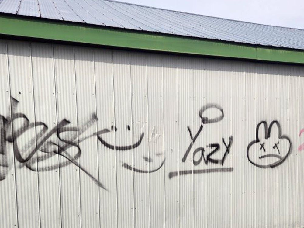 Sault graffiti committee to educate, address nuisance tagging | Sault Star