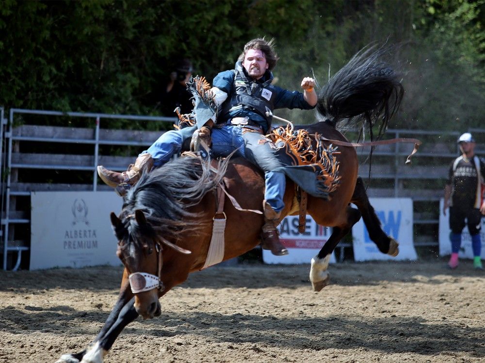 RAM Rodeo raises nearly $50,000 in third year at Feversham | Owen Sound ...