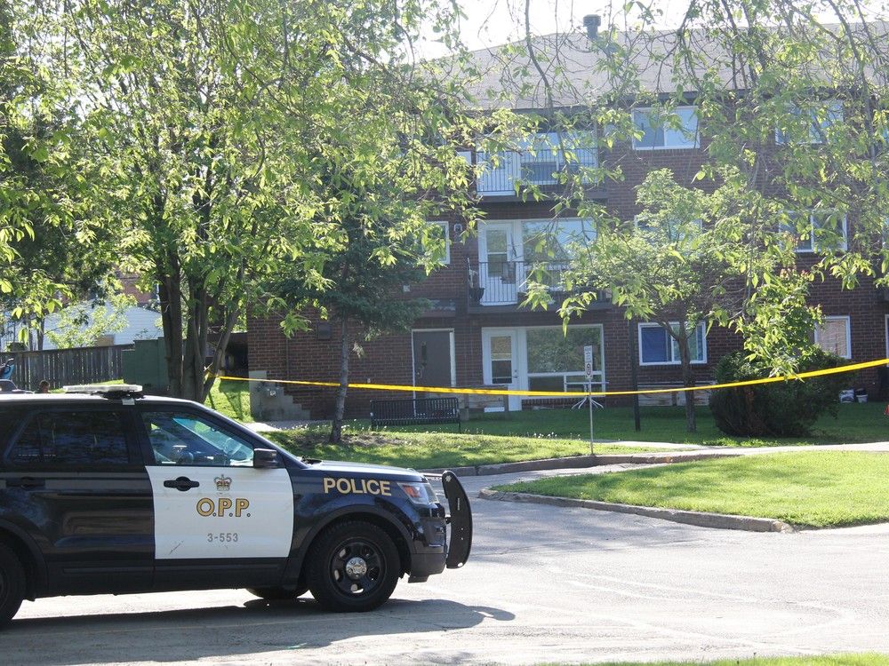 OPP investigating double homicide in Pembroke | Kingston/Frontenac This ... OPP investigating double homicide in Pembroke | Kingston/Frontenac This ...