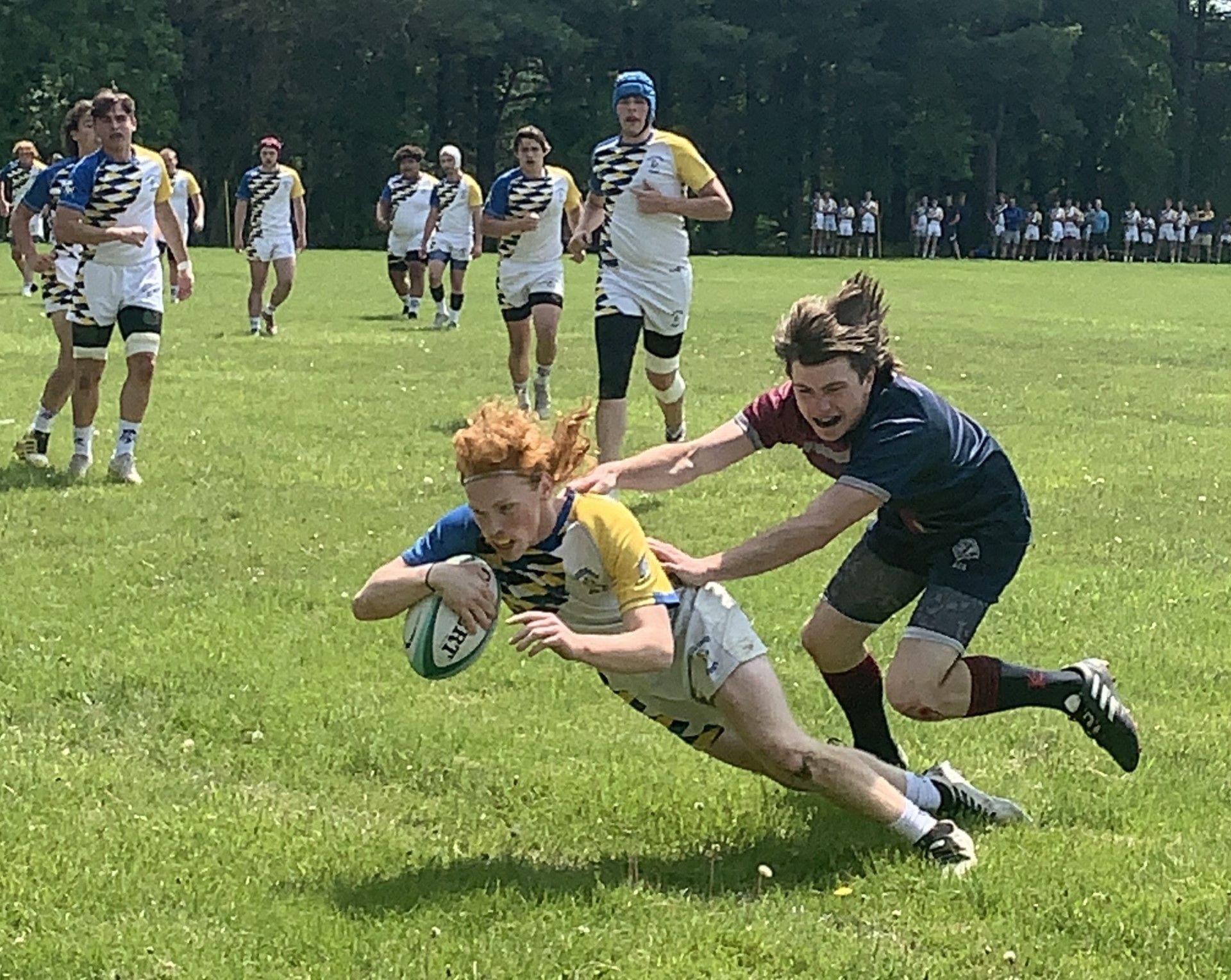 Mustangs, Eagles to meet for senior boys rugby championship | Brantford ...
