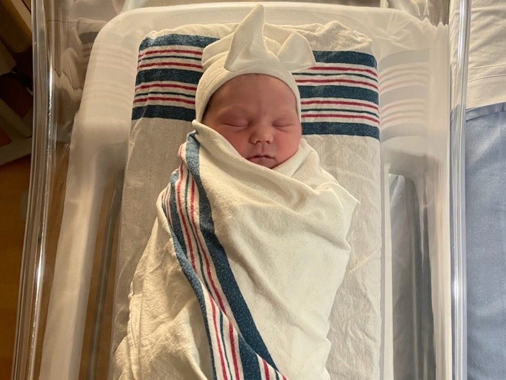 Meet Sudbury's newest arrivals | Sudbury Star