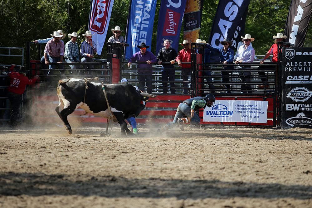 RAM Rodeo Tour returns to Grey Highlands | Owen Sound Sun Times