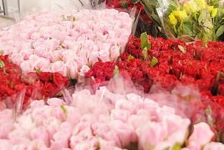 Rotary Rose Day takes place Friday through Monday | North Bay Nugget