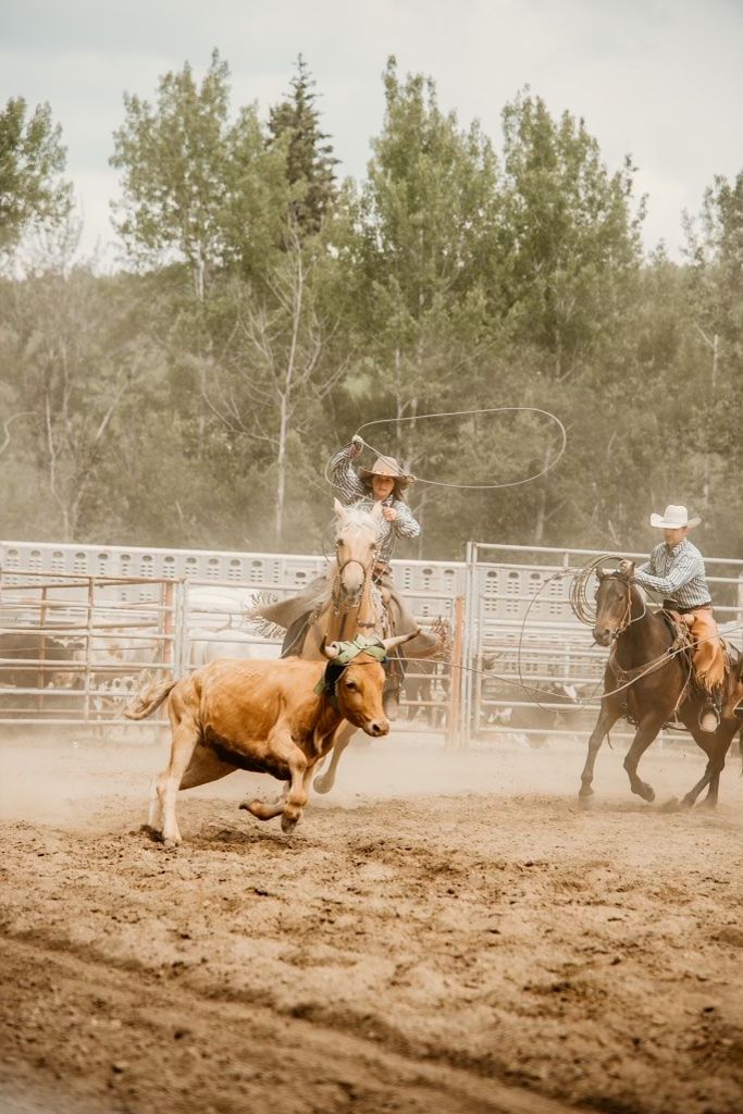 Cleardale Ag. Society's ranching rodeo a success | Fairview Post