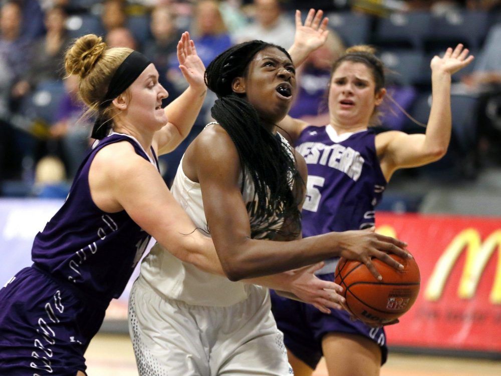 Brett Fischer commits to Lambton Lions | The Sarnia Observer