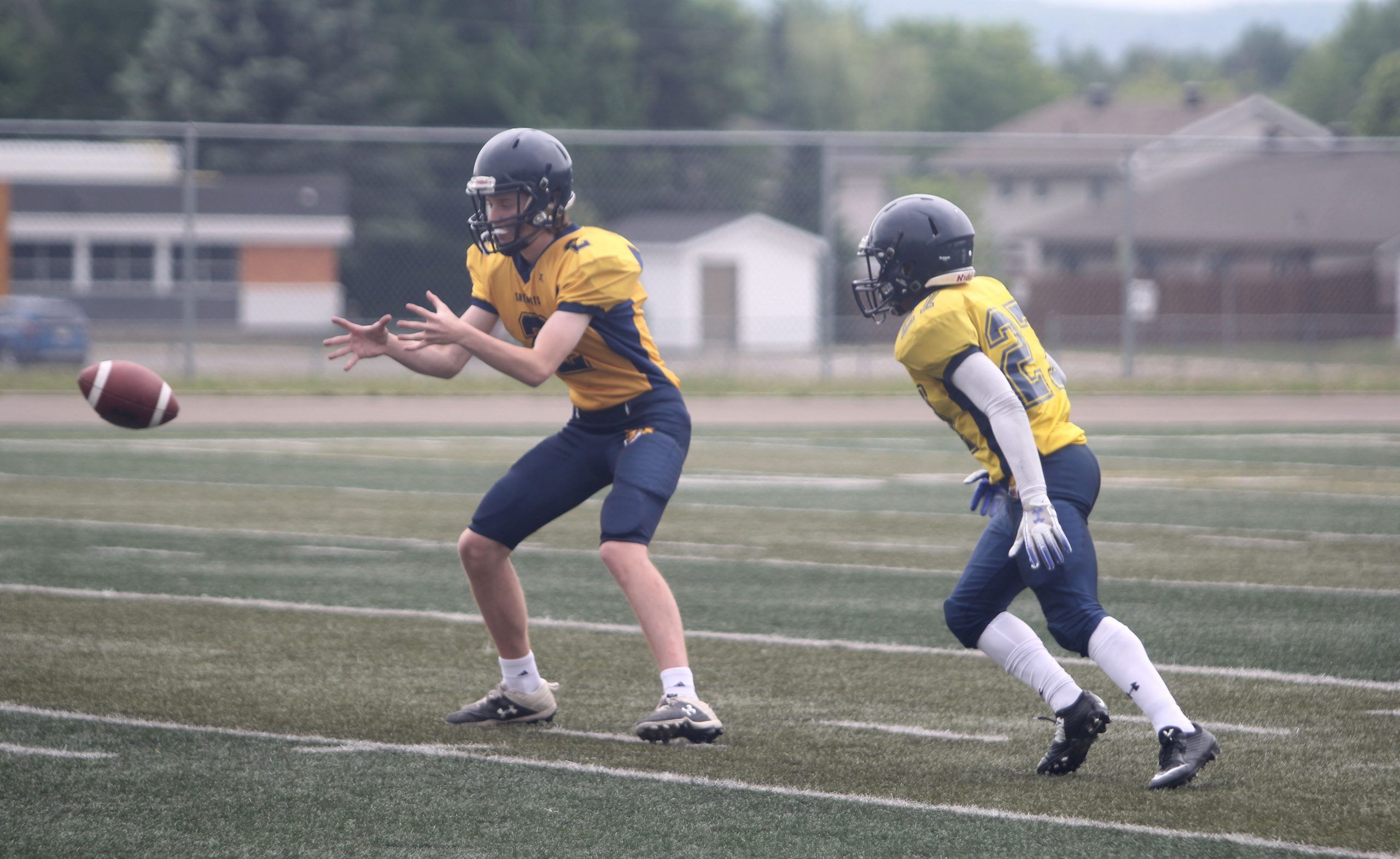 Sabercats roll in victory over the Clarington Knights in OSFL action ...