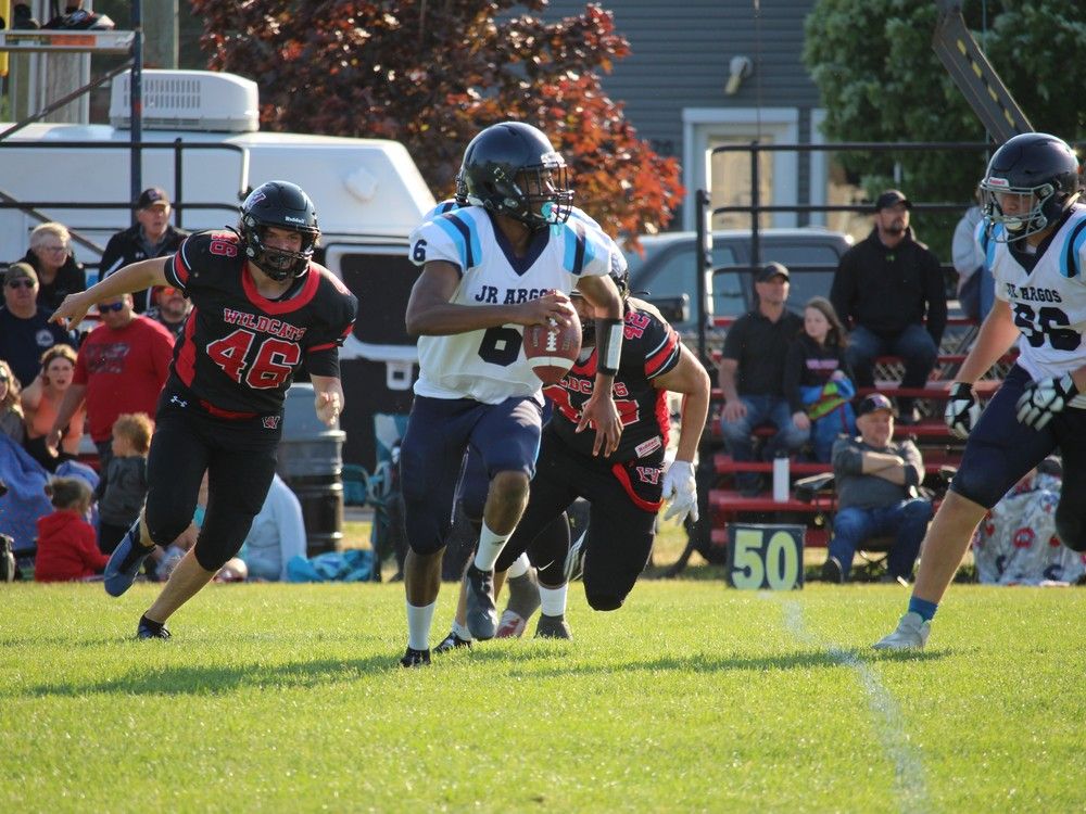 Cornwall Wildcats stay stingy at home, romp past Toronto Jr. Argos ...