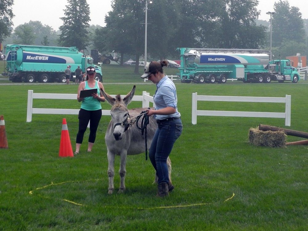 2023 Maxville Fair features favourites and new additions | Cornwall ...