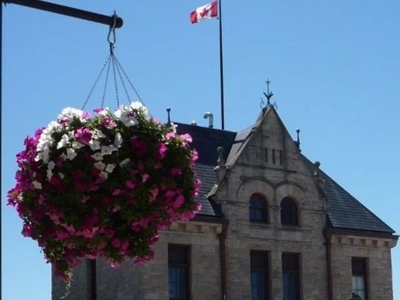 Council updated on Lake Huron Coastal Centre activities | Seaforth ... Council updated on Lake Huron Coastal Centre activities | Seaforth ...