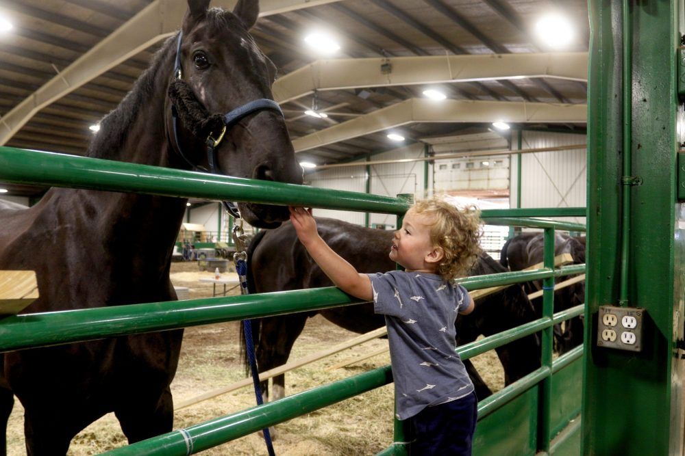 RCMP Musical Ride, 150 years of precision, dance and equine dance ...