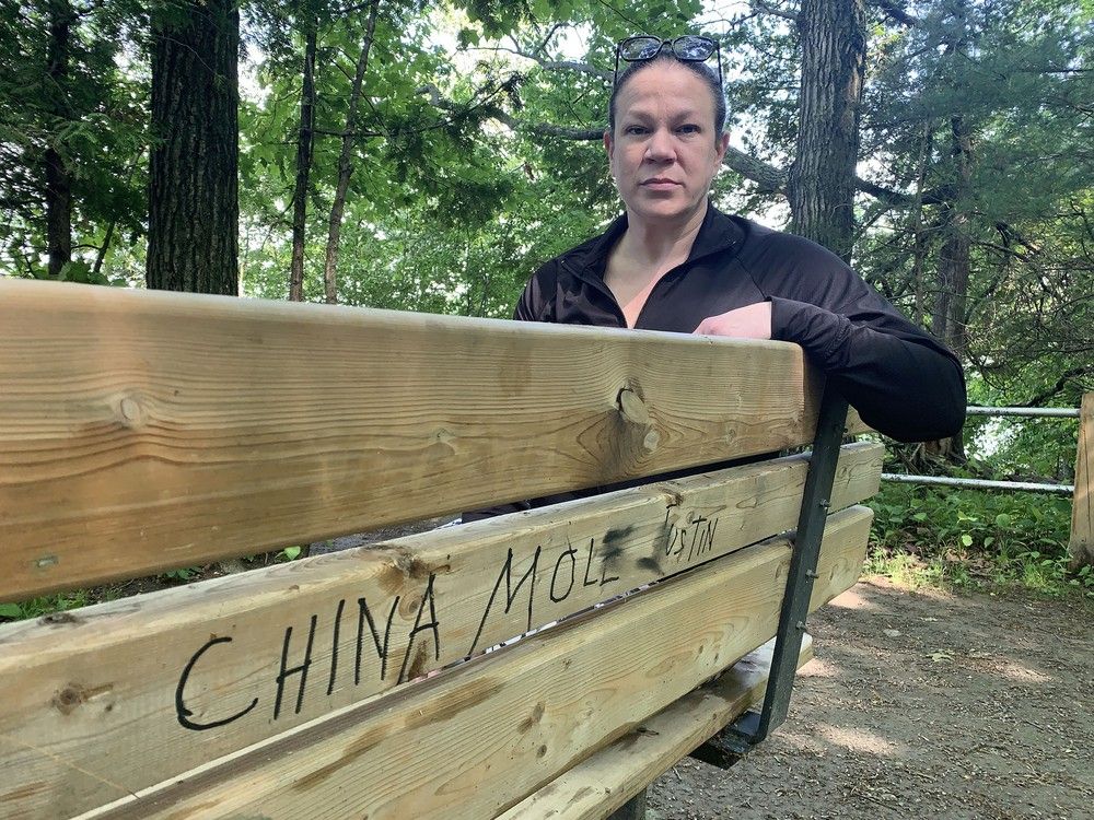 Lemoine Point vandalism upsets Kingston park visitors | The Kingston ...