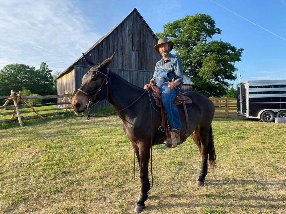 Comedian Tom Green enjoying life on the farm back home in Ontario | The ...
