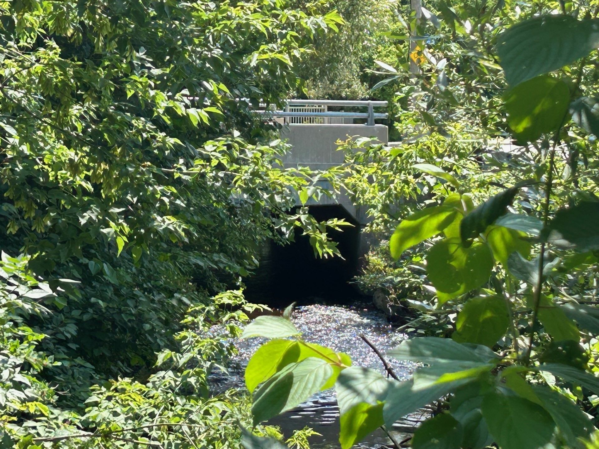 North Bay police don't know where Marc Gauthier is | North Bay Nugget