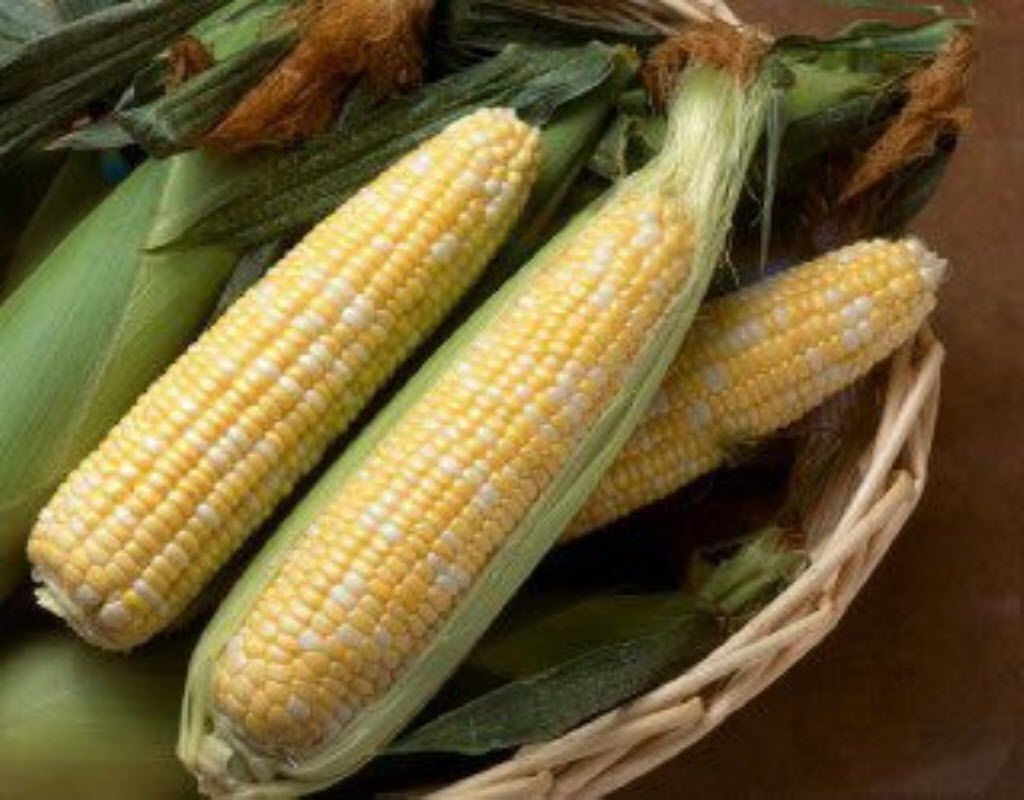 Pulled pork, corn on the cob served at upcoming dinner | Sault Star