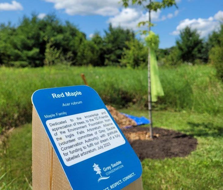 Tree and shrub labelling project completed at Inglis Falls Arboretum ...