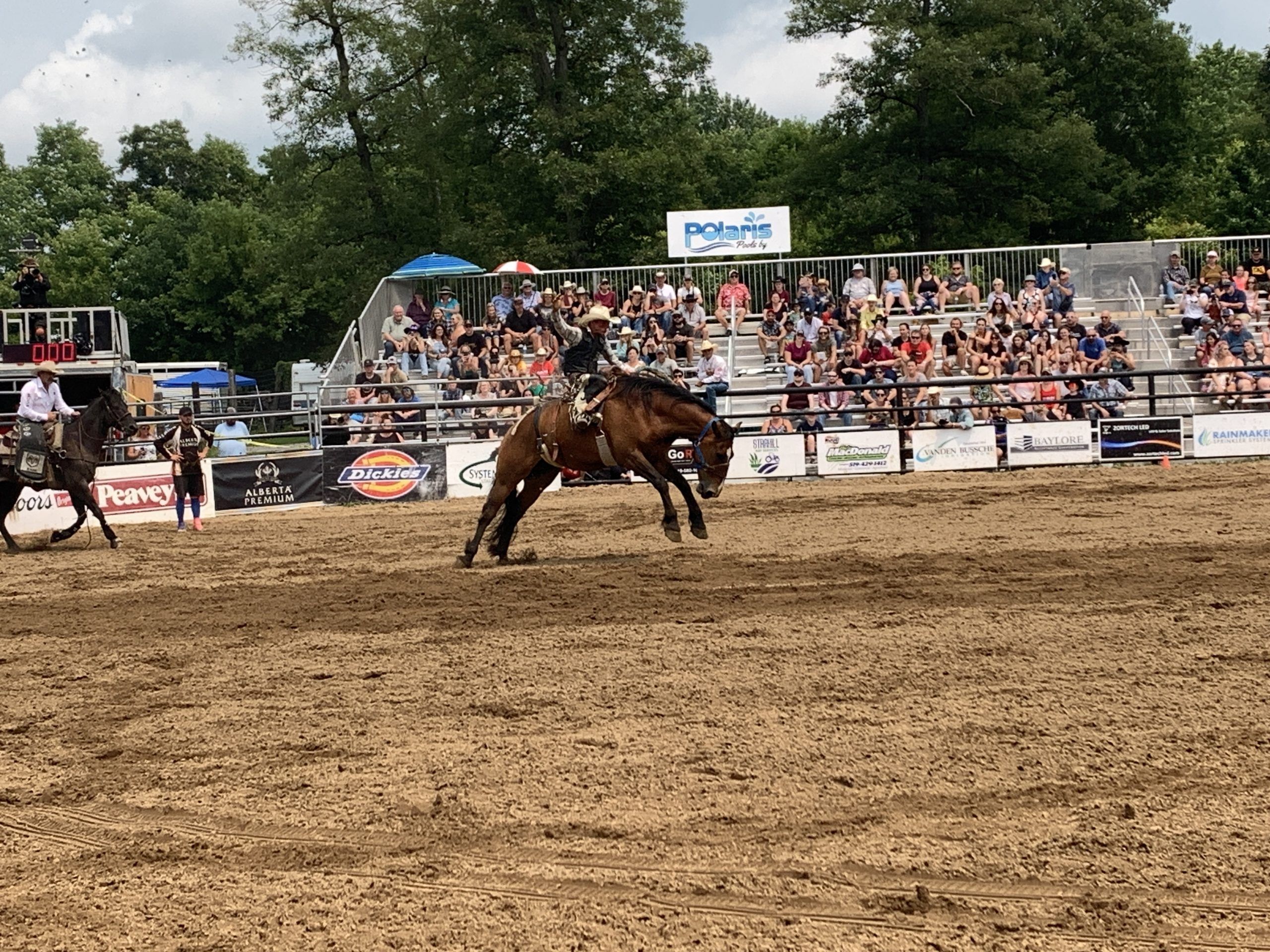Ram Rodeo in Simcoe draws thousands | The Woodstock Sentinel Review