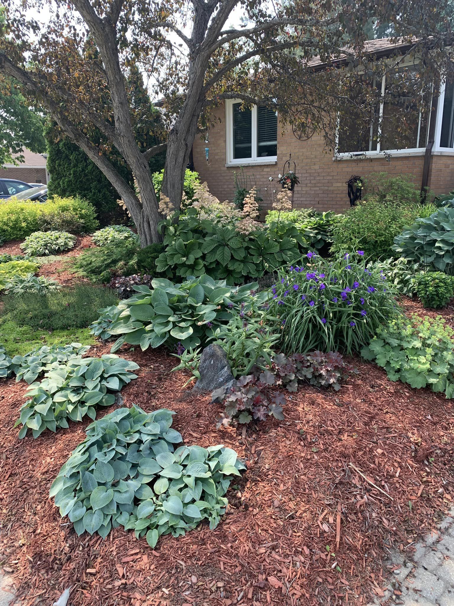North Bay has been judged by Communities in Bloom experts | North Bay ...