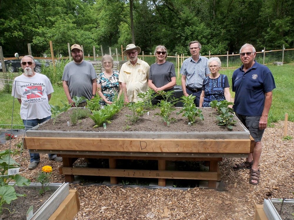 Community Gardens replaces raised beds with support from Rotary Club ...