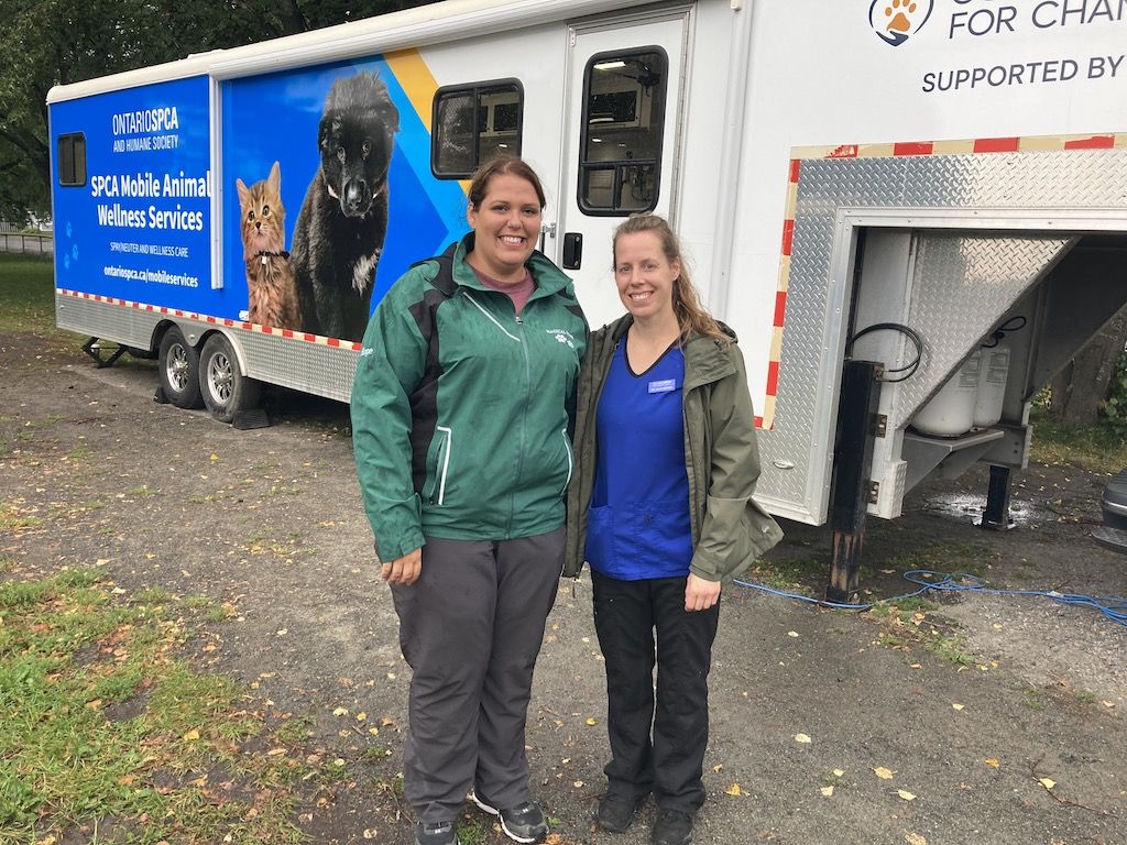 New location needed in Sudbury for mobile SPCA unit | Northern News