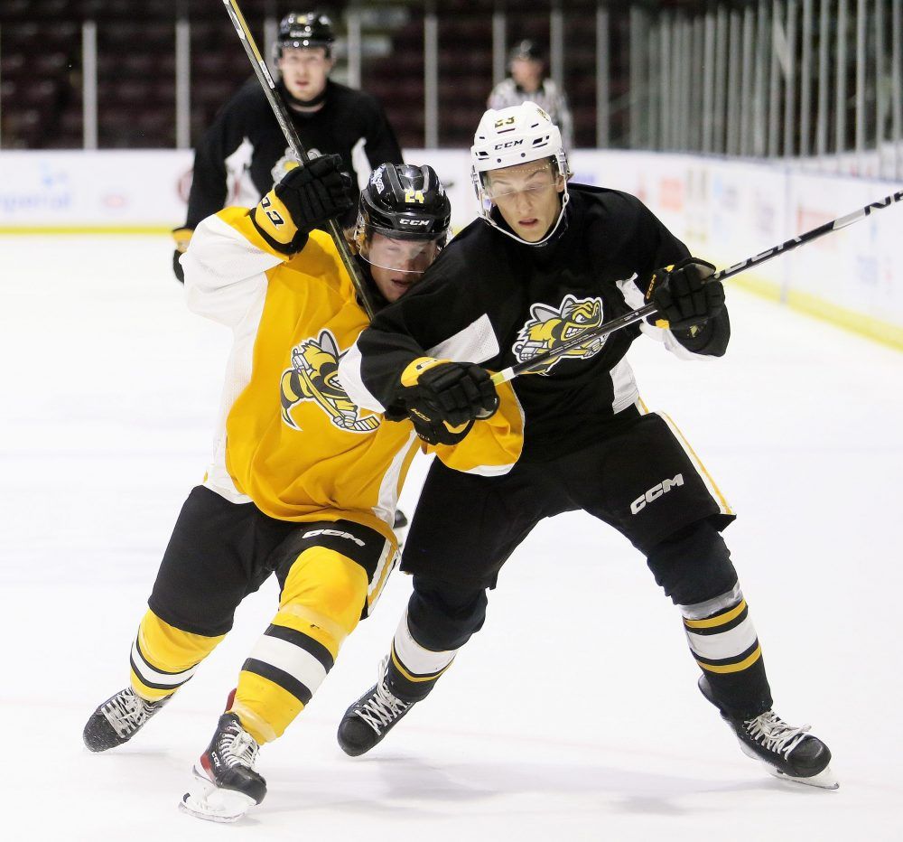 Sarnia Sting hold training camp | The Sarnia Observer