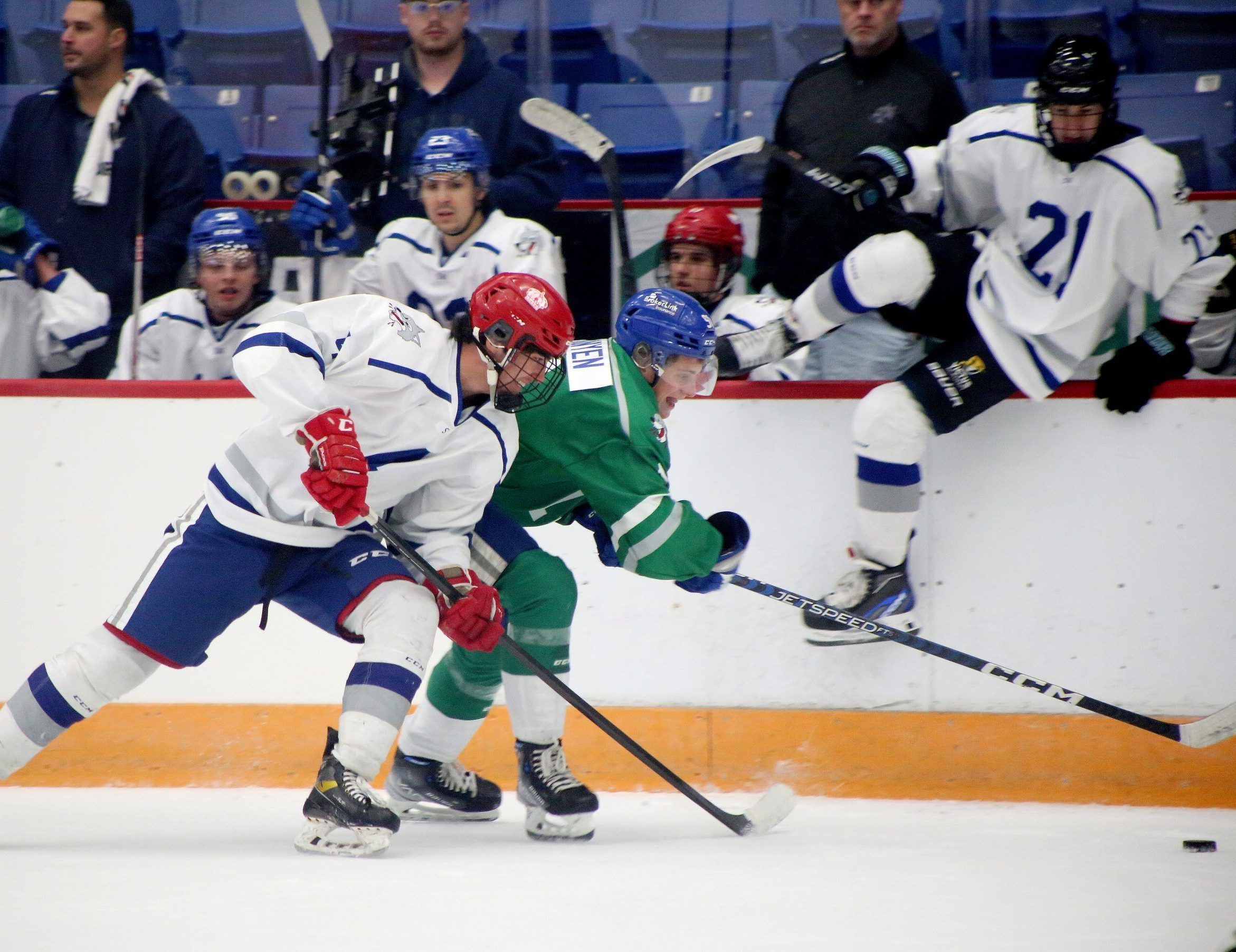 Wolves newcomers hold their own alongside veterans | Sudbury Star