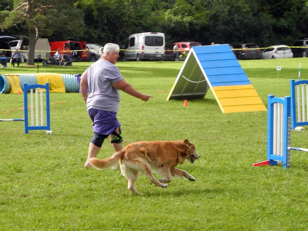 SDG Dog Show marks final year at Long Sault-area site | Cornwall ...