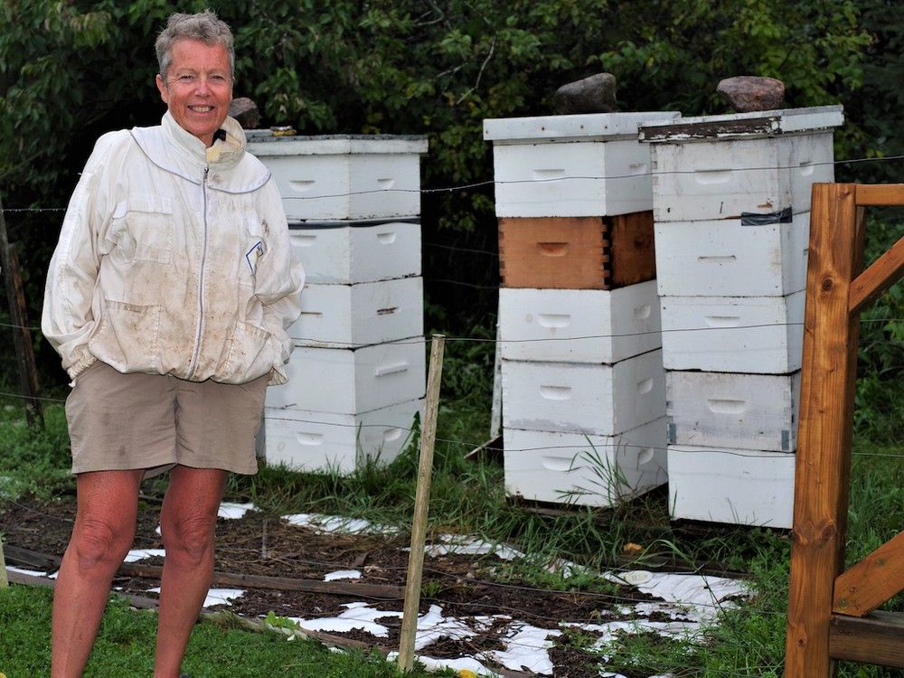 Honey Fest returns to Powassan this fall | The Daily Press