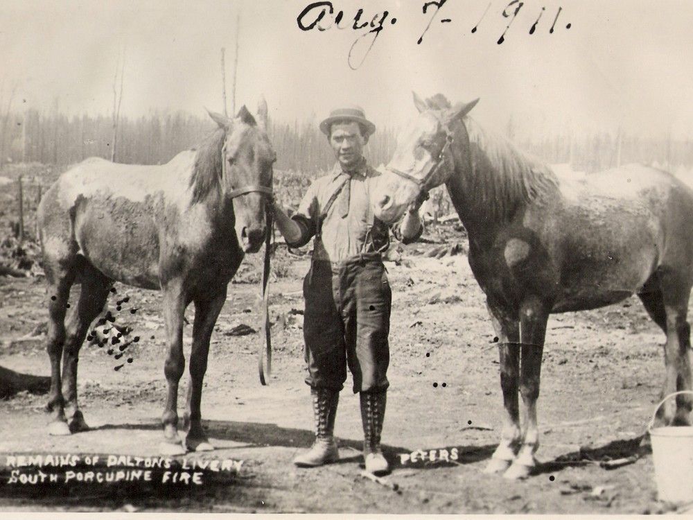 Dalton used good ‘horse sense’ to build up business after fire | The ...