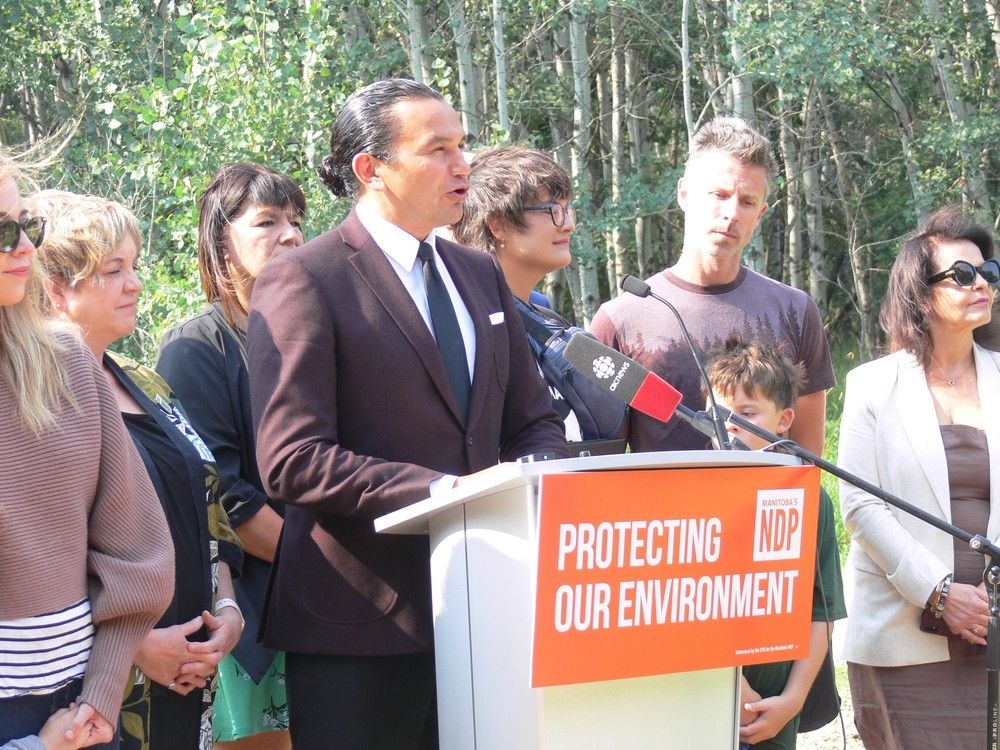 NDP lays out environmental plans, including helping families buy EVs ...