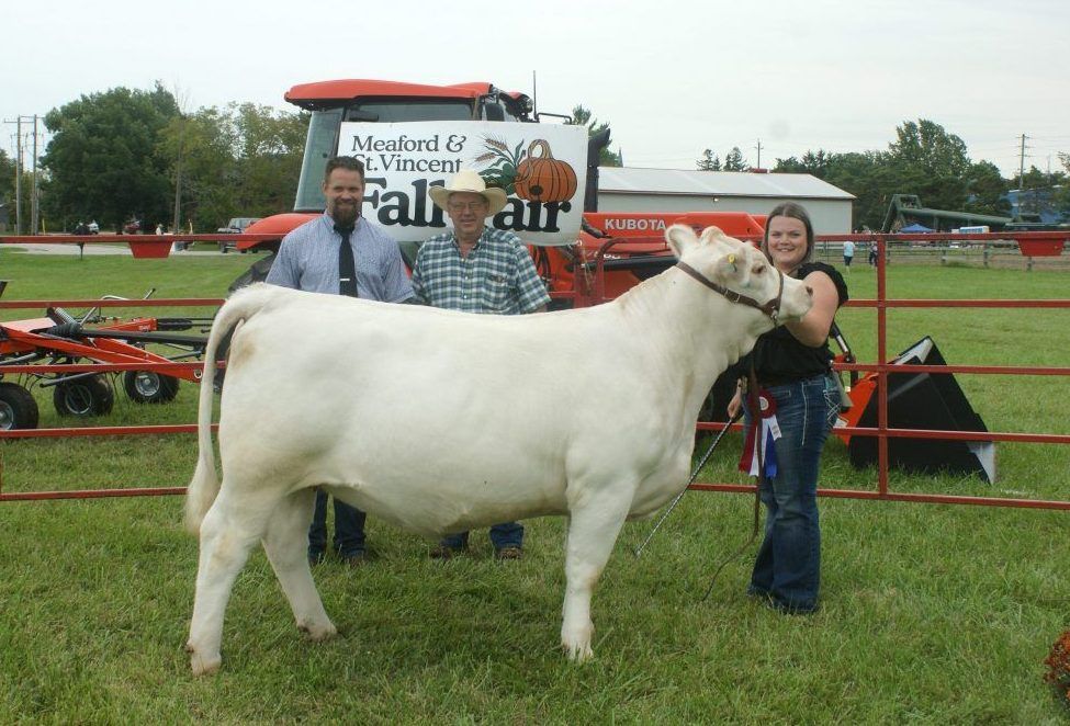 Meaford fall fair facing big challenges as it marks 166th year | Owen ...