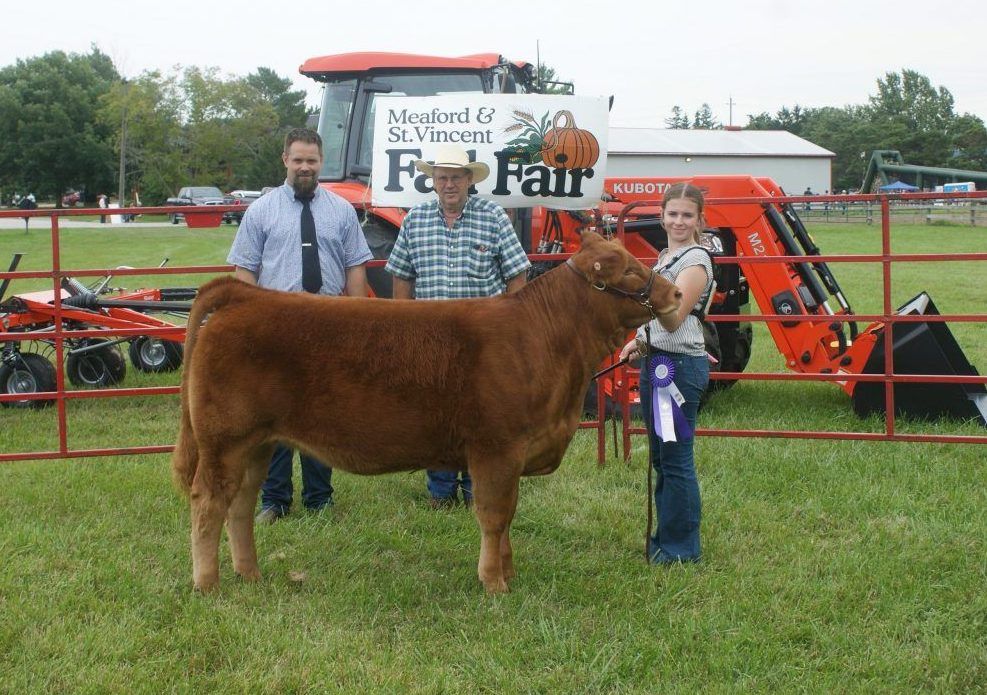 Meaford fall fair facing big challenges as it marks 166th year | Owen ...
