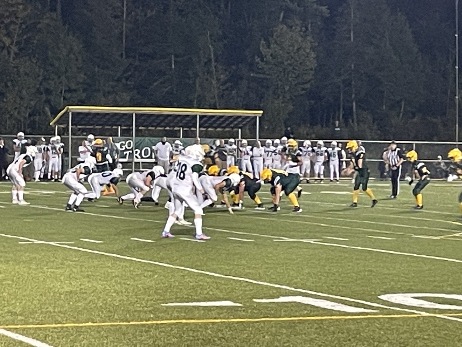 The Bears enjoyed a 'paw-some' football game on Friday night | North ...