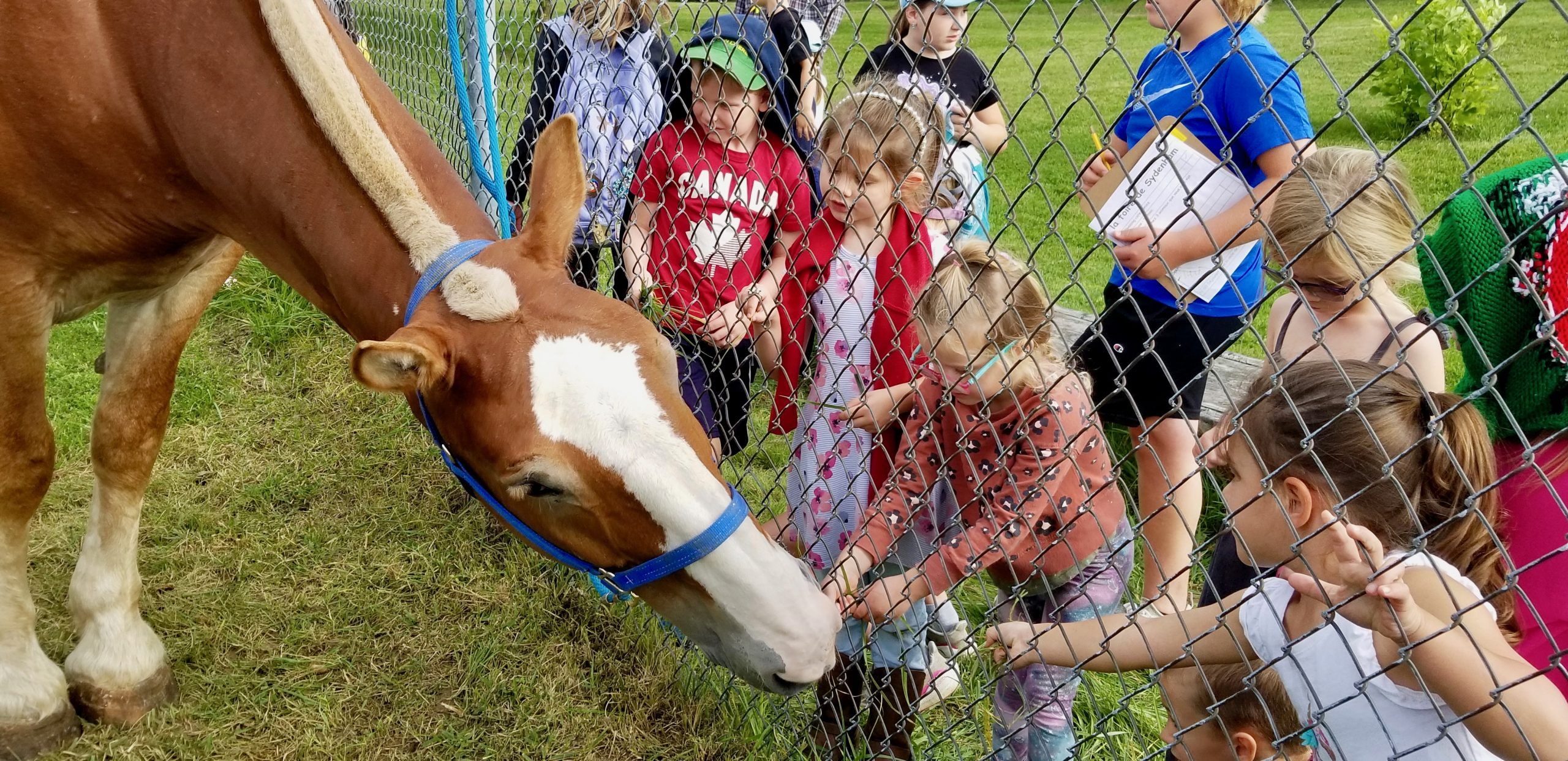 Sydenham Fall Fair carries on 170-year tradition | Owen Sound Sun Times