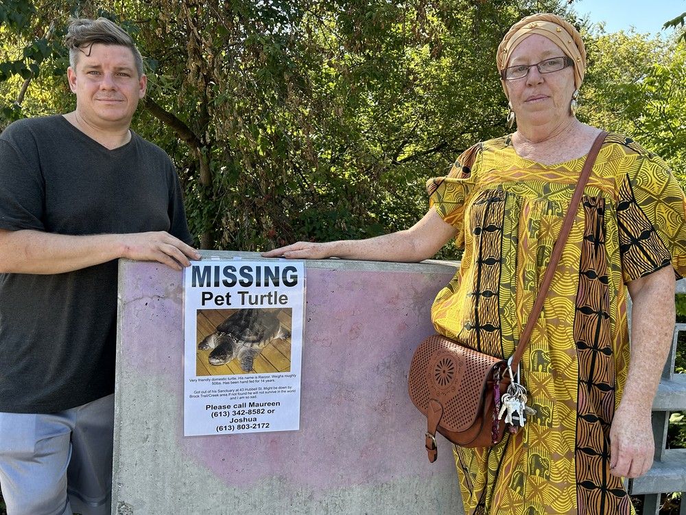 Family worried for missing pet, a turtle | Brockville Recorder & Times