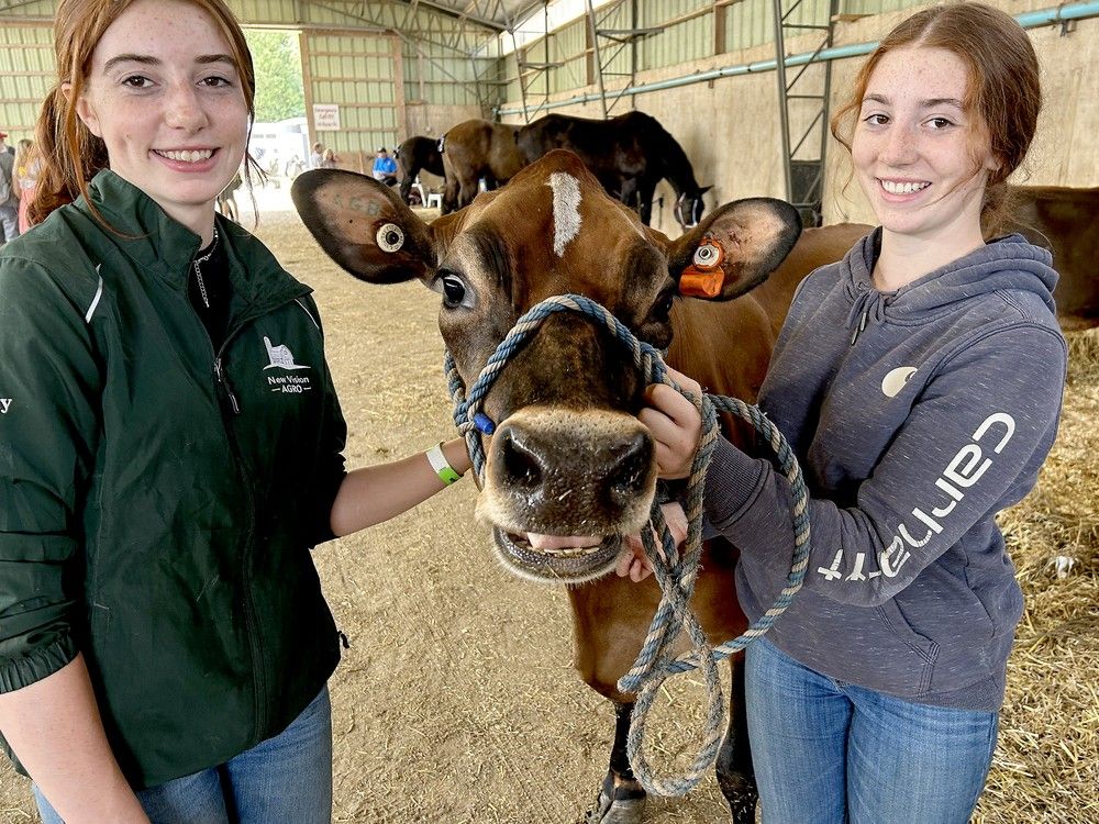 Spencerville Fair celebrates success, looks to the future | Brockville ...