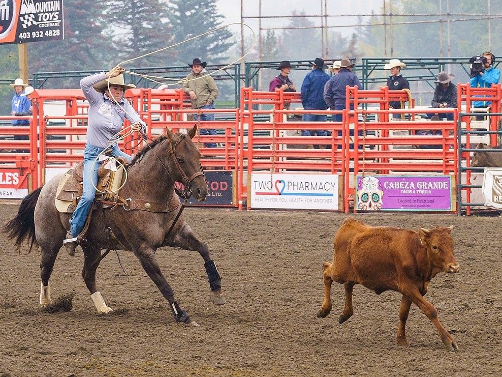 Cochrane Lions Club Rodeo 2023 | Airdrie Echo