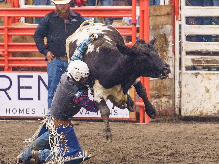 Cochrane Lions Club Rodeo 2023 | Airdrie Echo