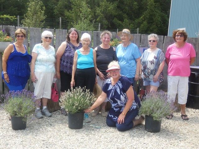 Ripley and District Horticultural Society 2023 summer review | Goderich ...