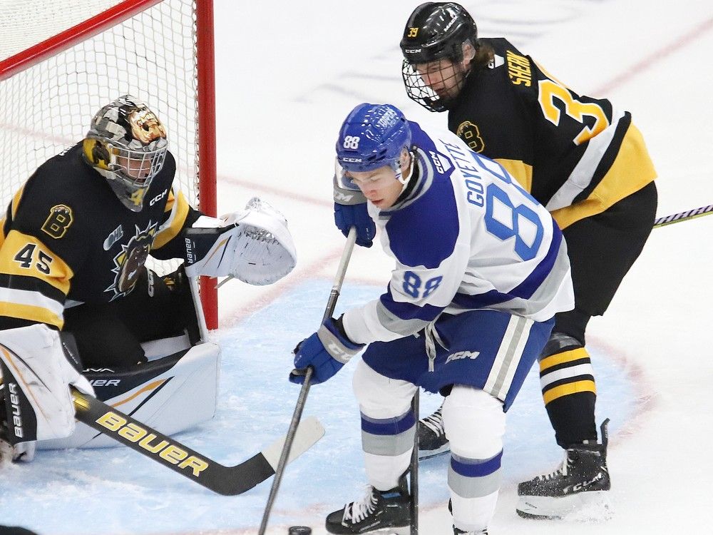 Wolves hand out year-end awards | Sudbury Star