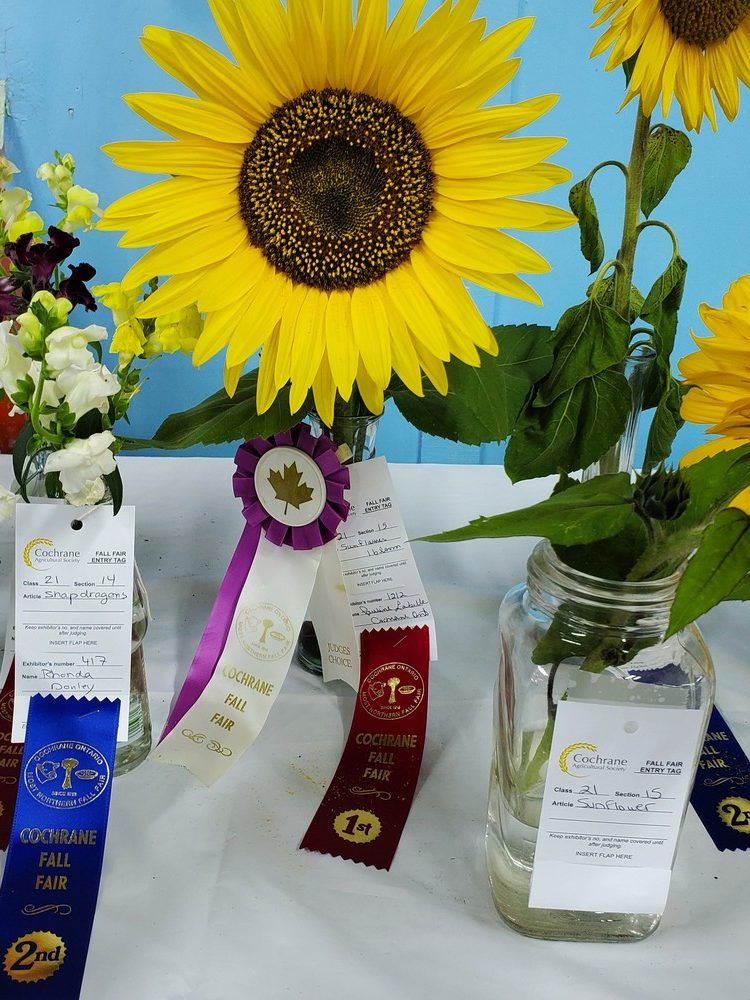 Fall Fair 2023 | Sault Star