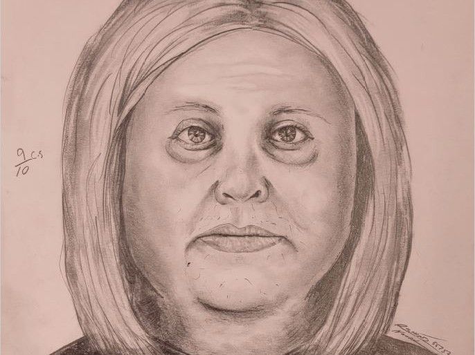 Wetaskiwin Rcmp Looking For Woman Following Attempted Abduction