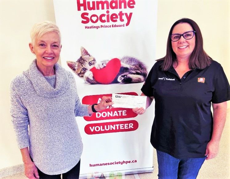 Animal shelter launches Seniors for Seniors Adoption program ...